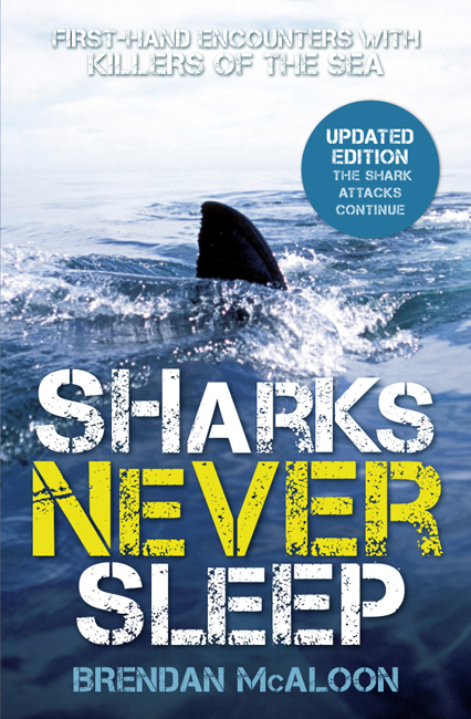 sharks-never-sleep.jpeg